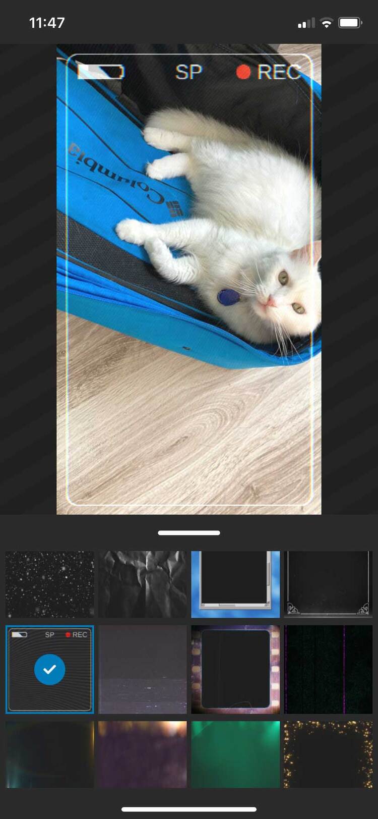How to Make a TikTok Video - Step-by-Step Instructions