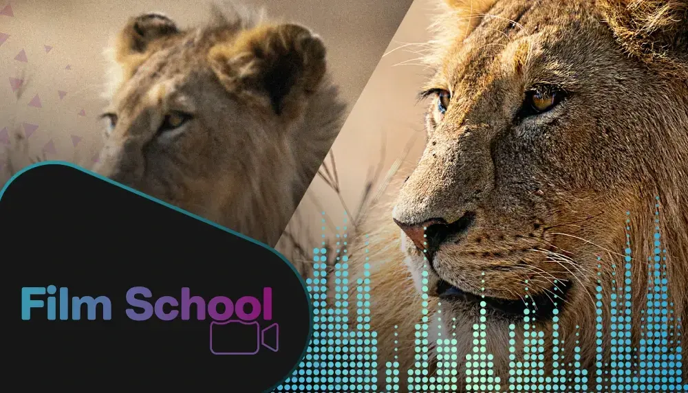 Dolby Cinema vs. Digital - Film School - WeVideo